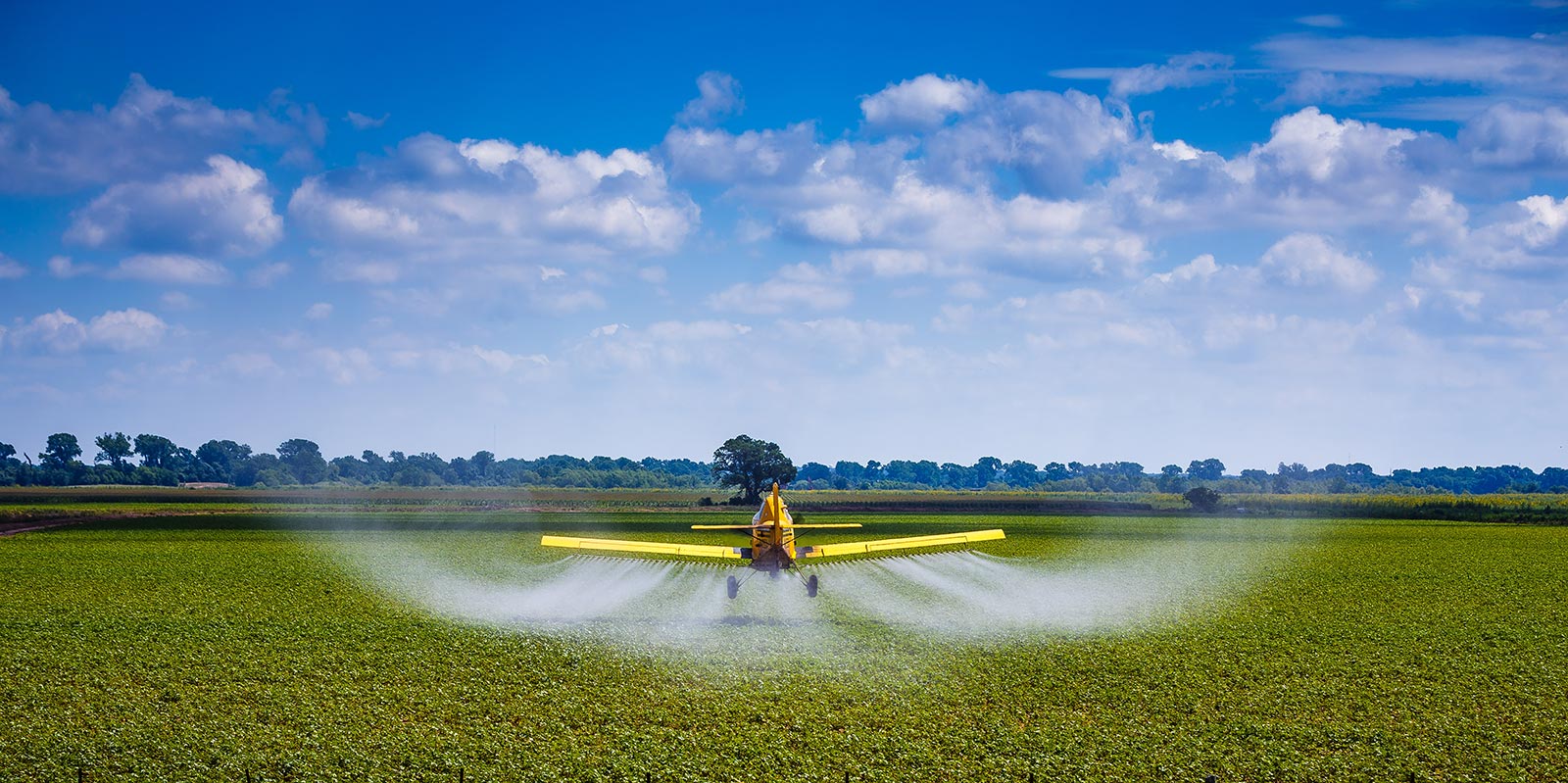 Resources - Crop Excellence