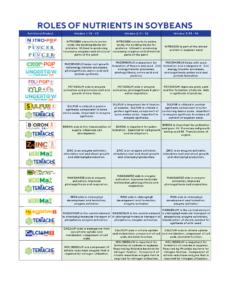 Roles of Nutrients in Soybeans - Crop Excellence
