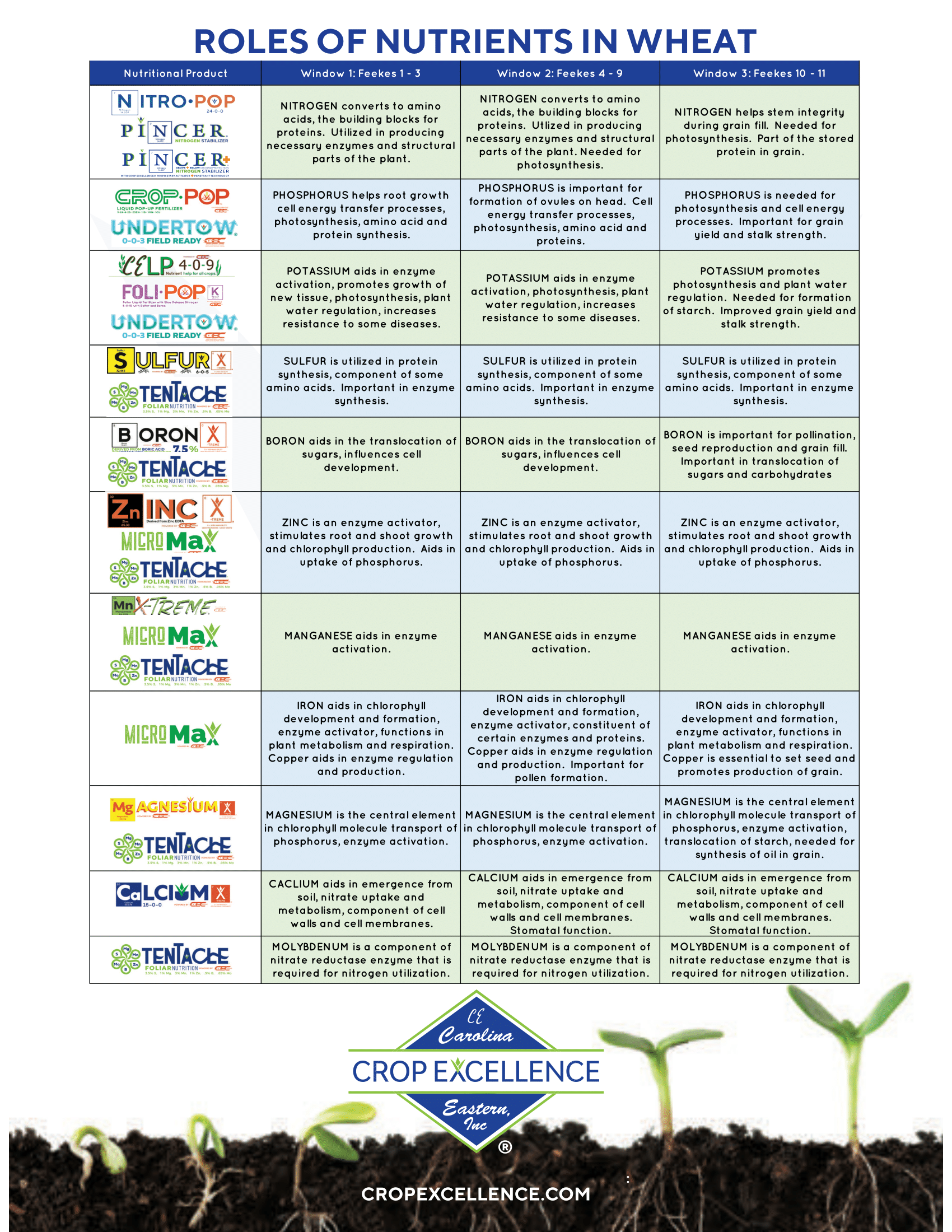 Roles of Nutrients in Wheat - Crop Excellence
