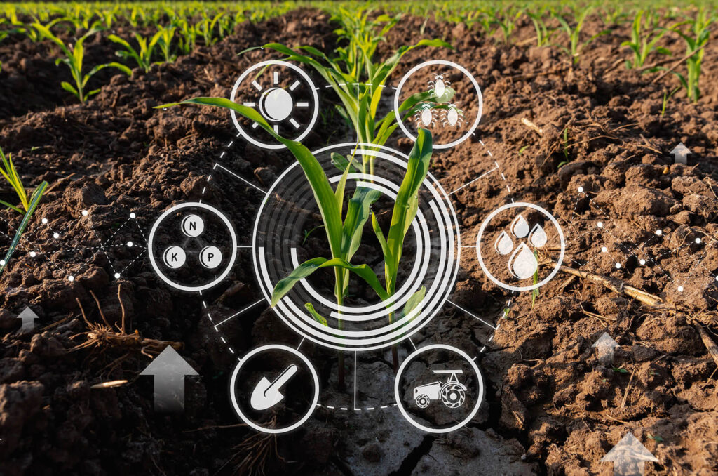 Home - Crop Excellence